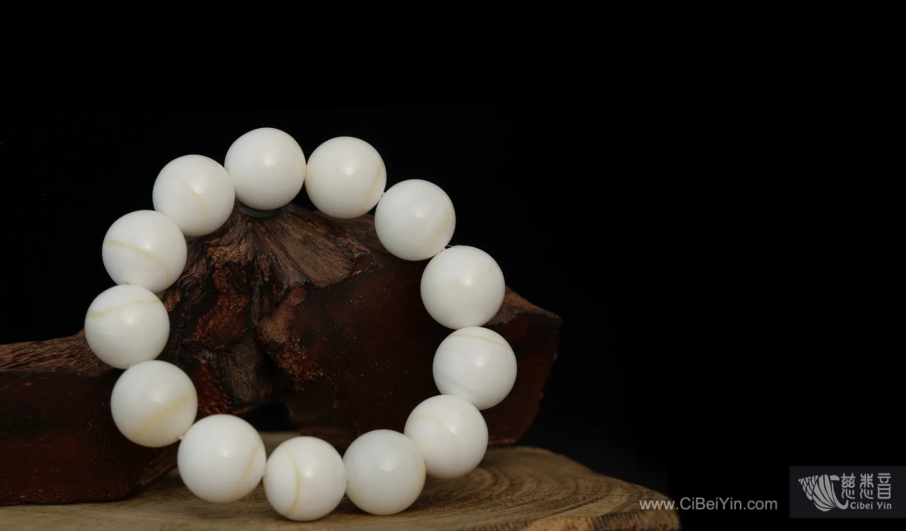 The Most Beautiful Shellfish Gem — Tridacna - Grandmaster JinBodhi