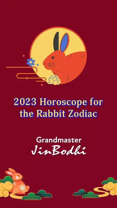What should the rabbit zodiac watch out for in the year of the rabbit ...