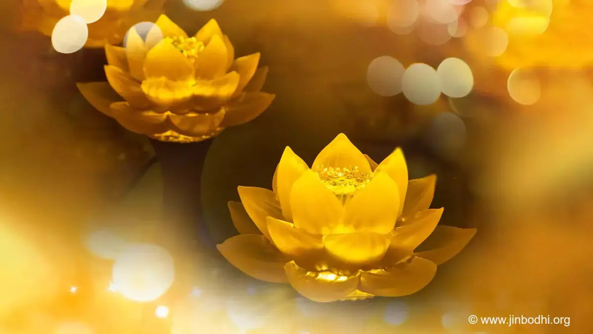 What are the benefits of light-offerings? Understand the functions and ...